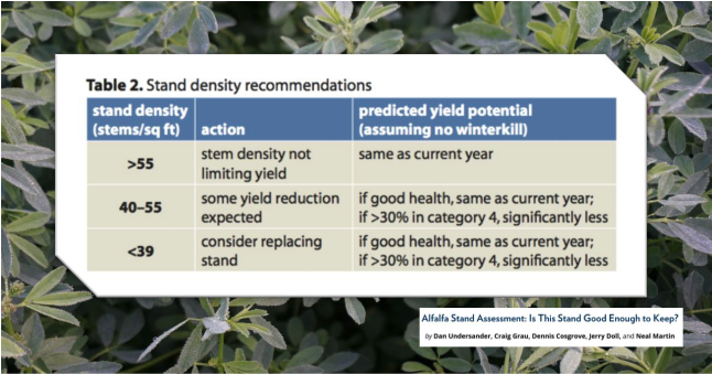 Alfalfa Stand Establishment | Dyna-Gro Seed