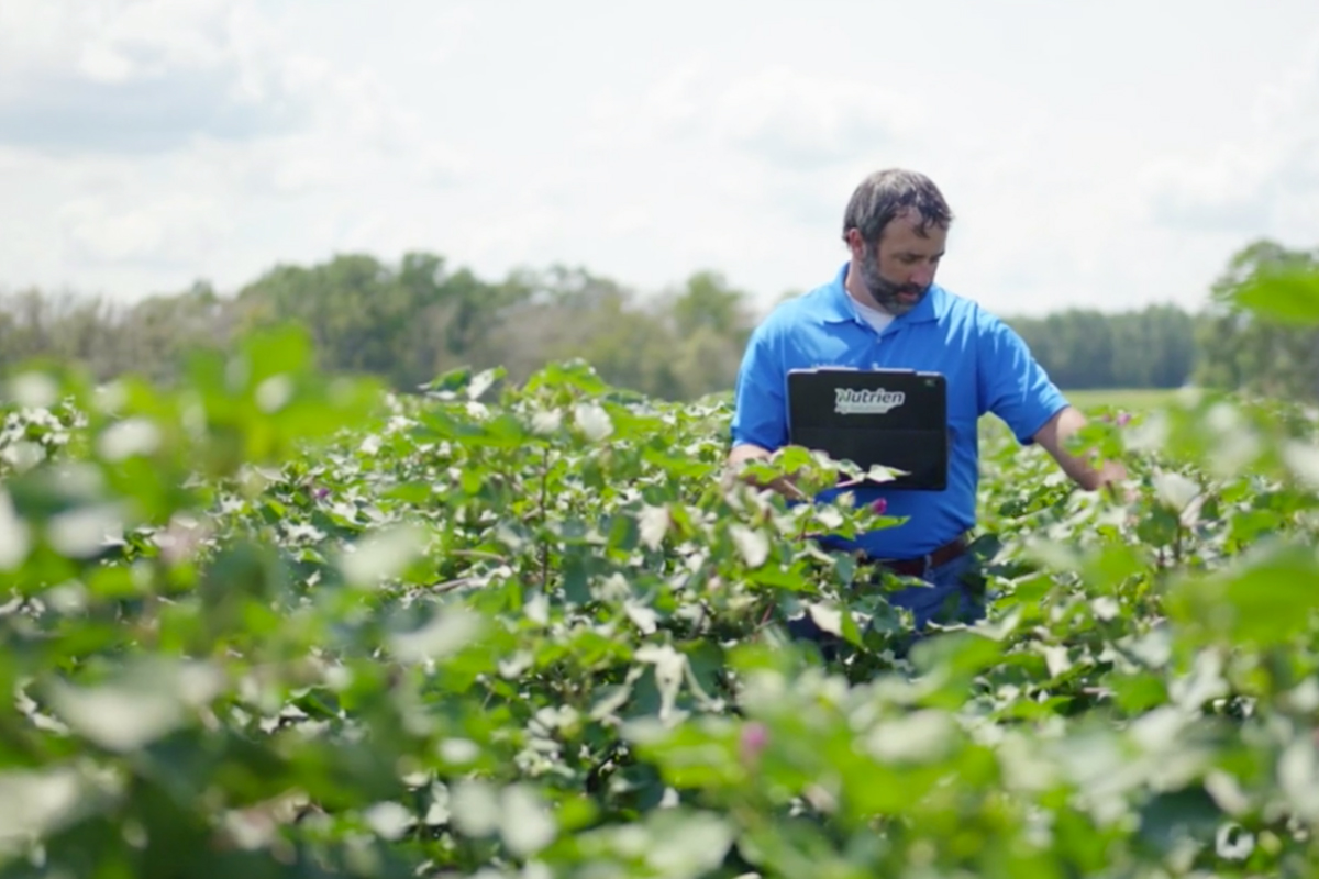 Cotton Sustainability: Results You Can See
