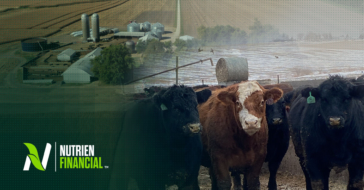 Generations of Grit: Financial Wisdom from the Howe Family Farm